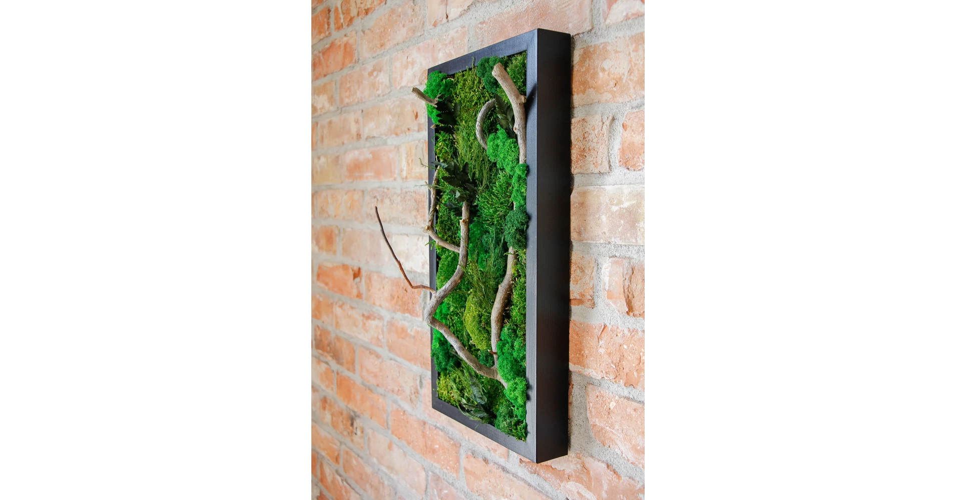 EAGLE DECOR-ERDŐ HANGULATÚ MOHA KERETEK